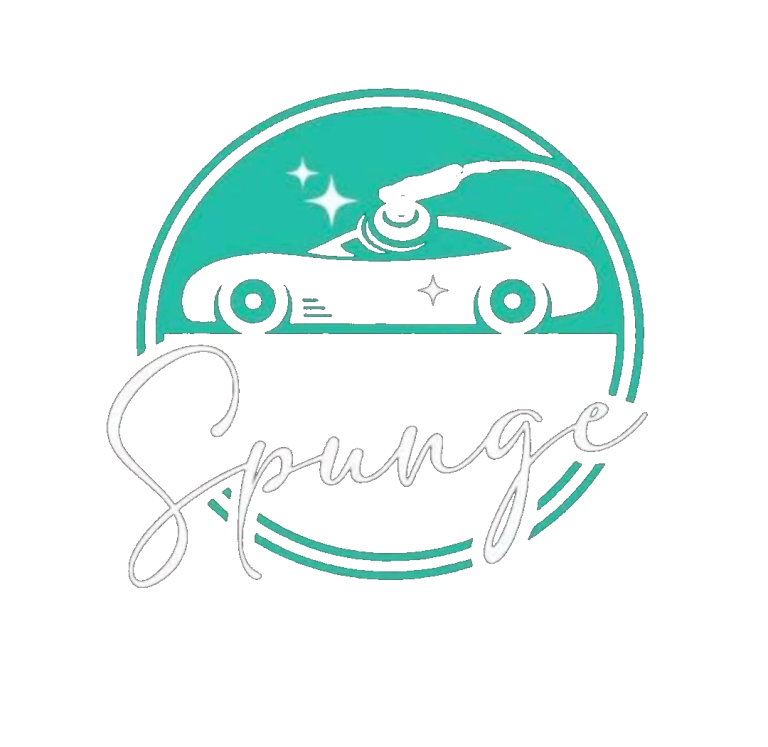 Home - Spunge